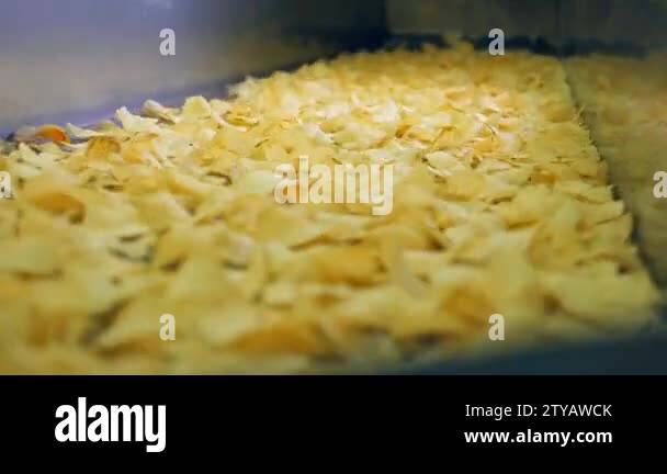 Fried crisps moving on a facility line at a food production plant Stock ...