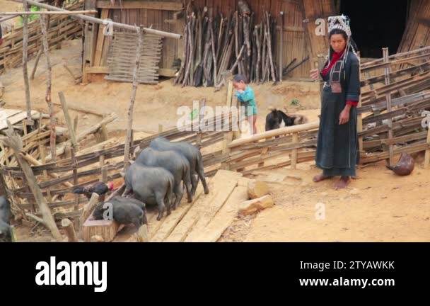 Native primitive people Stock Videos & Footage - HD and 4K Video Clips ...