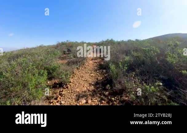 Walking through small trails to the top of the Black Mountain in San ...