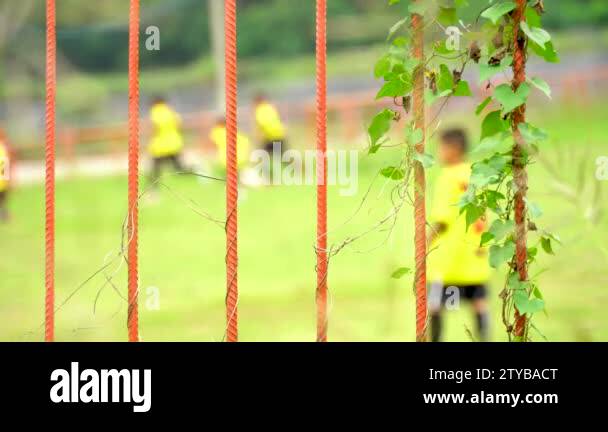 Children playing behind a fence Stock Videos & Footage - HD and 4K ...