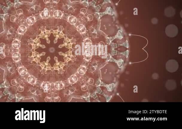 Human microbiome and bacteria inside a human body spinning and dividing ...