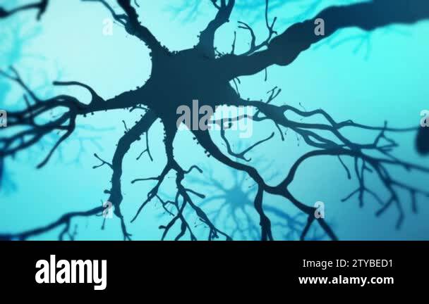 Neuron cells network silhouette slow zoom out. Inside the Brain with ...