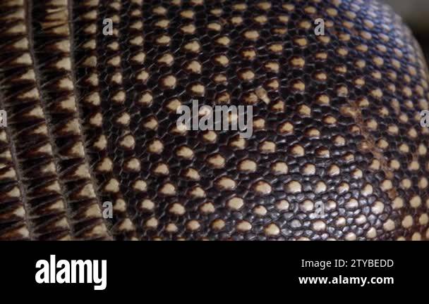 Museum object Stock Videos & Footage - HD and 4K Video Clips - Alamy