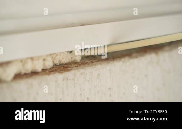 Window fill Stock Videos & Footage - HD and 4K Video Clips - Alamy