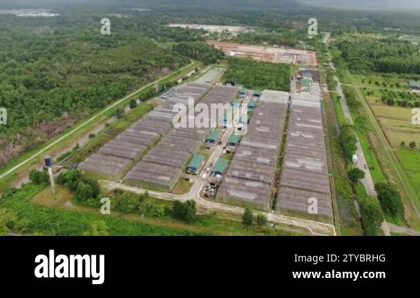 Kuching, Sarawak / Malaysia - February 1, 2020: Aerial view of green ...