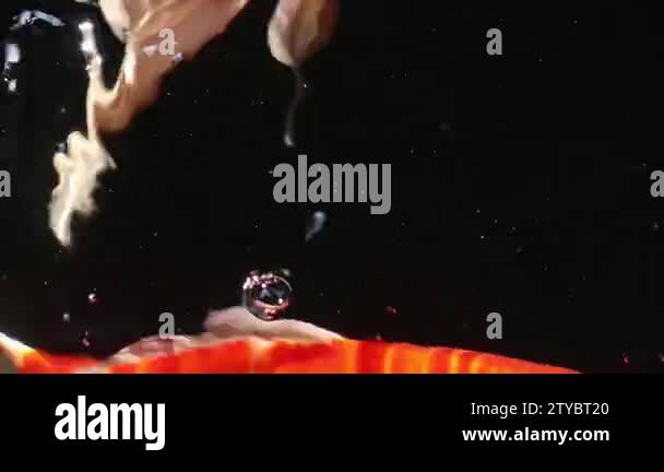 Variety colorful ornamental Koi carp fish, Cyprinus carpio, swim in ...