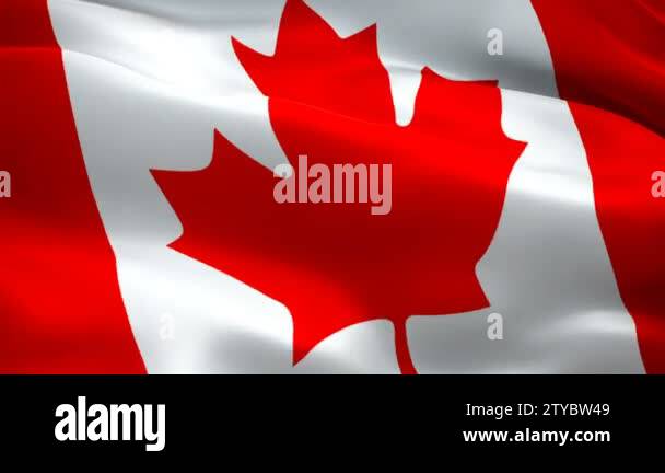 Canadian flag waving in wind video footage Full HD. Realistic Canadian Flag background. Canada ...