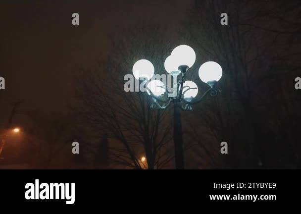 Snow falling on a street lamp during a winter storm. Panning on the ...