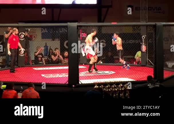 Mma combat Stock Videos & Footage - HD and 4K Video Clips - Alamy