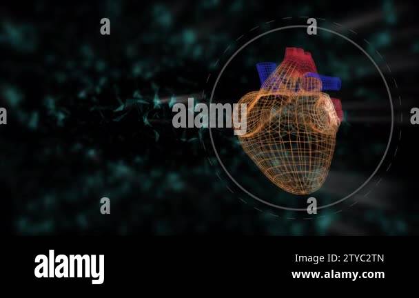 Heart scan animation. The interface for detecting diseases and problems ...