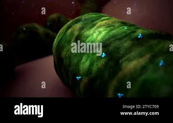 Ingesting bacteria Stock Videos & Footage - HD and 4K Video Clips - Alamy