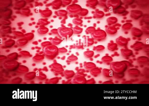 Red blood cells floating through blood and circulating in the vessels ...