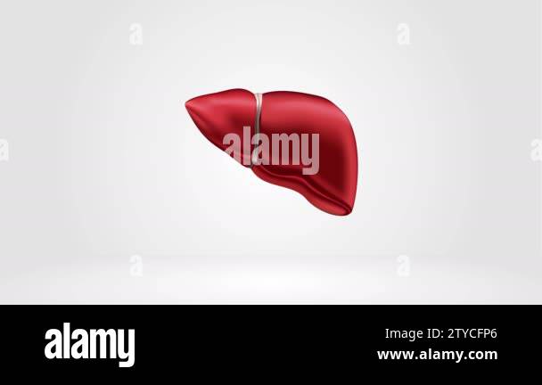 Liver human autopsy Stock Videos & Footage - HD and 4K Video Clips - Alamy