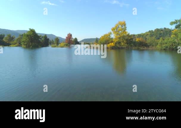 AERIAL Flying over flooded nature with treetops and bushes peeking out ...