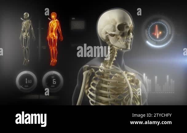 Human body medical Stock Videos & Footage - HD and 4K Video Clips - Alamy