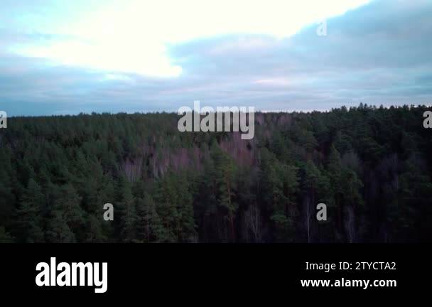 Sunrise Aerial View of Wooden Observation Tower in the Forest in ...