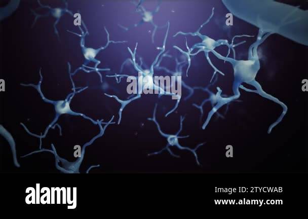 Neuron nerve cells diagram Stock Videos & Footage - HD and 4K Video ...