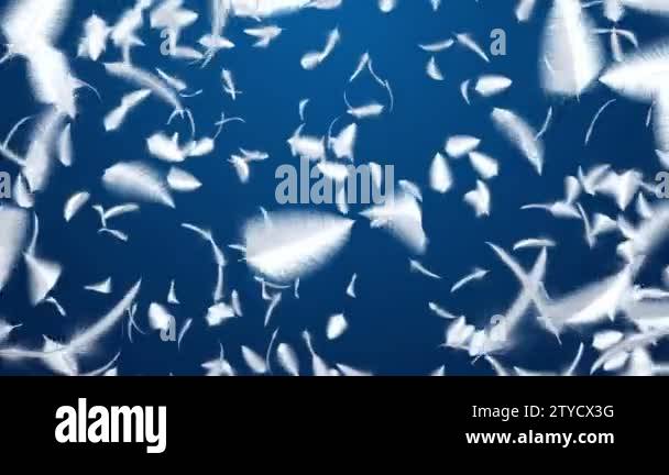 3d animation footage of falling feather. Animation of seamless loop ...