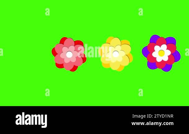 bloom flat flowers animation elements on green screen chroma key Stock ...