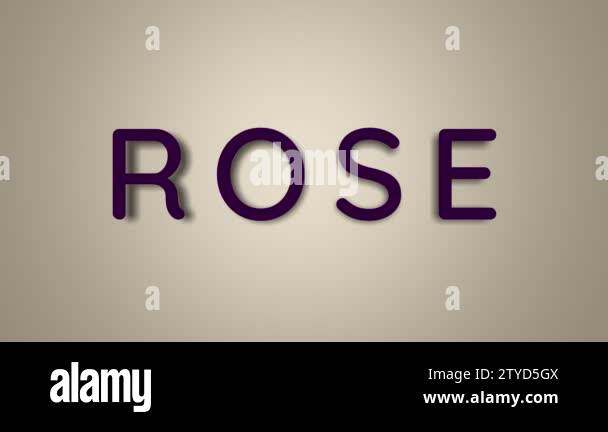 The name of the rose Stock Videos & Footage - HD and 4K Video Clips - Alamy