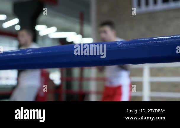Men at boxing exercise Stock Videos & Footage - HD and 4K Video Clips ...