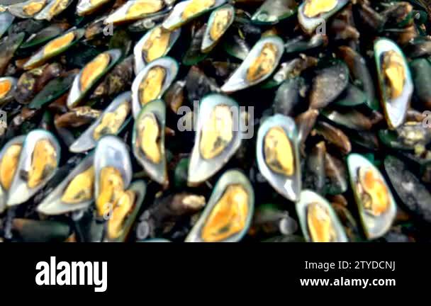 Traditional Thai sea food market, with fresh seafood Stock Video ...