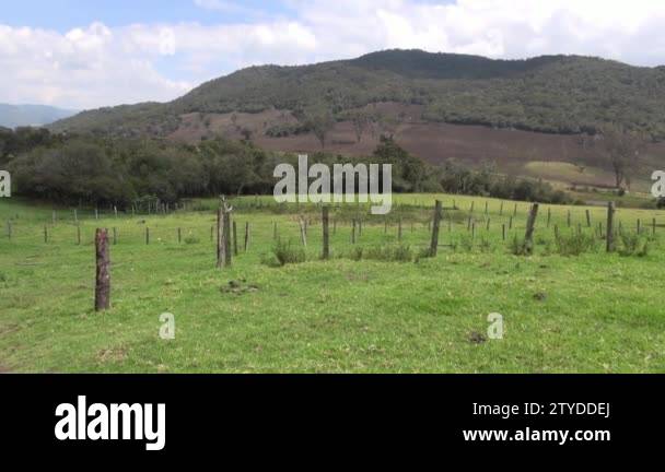 Field and meadows Stock Videos & Footage - HD and 4K Video Clips - Alamy