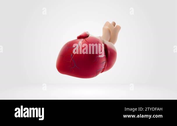 Destruction process of the heart. Autopsy medical concept. Cancer ...