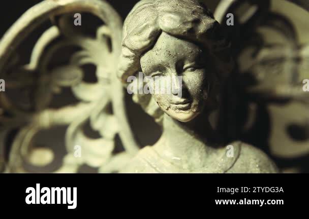 Cry of the butterfly Stock Videos & Footage - HD and 4K Video Clips - Alamy