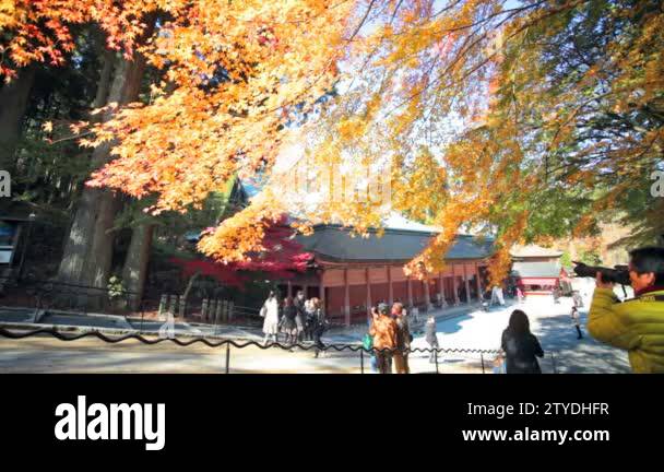 Tendai Stock Videos & Footage - HD and 4K Video Clips - Alamy