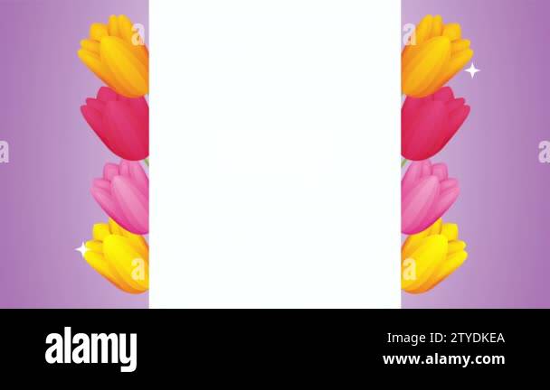 beautifull roses flowers square frame animation Stock Video Footage - Alamy