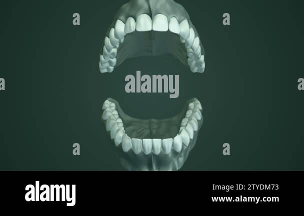 Medical background with animation of opening human jaw with teeth and ...