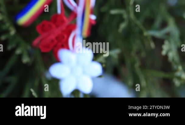 Moldavian and Romanian spring symbol. Martisor on green natural ...