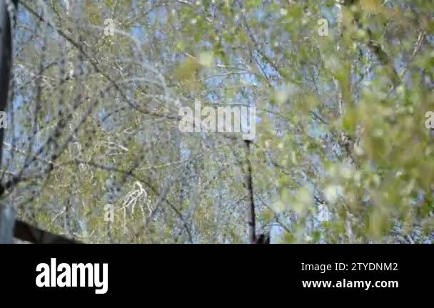 Prison landscape Stock Videos & Footage - HD and 4K Video Clips - Alamy