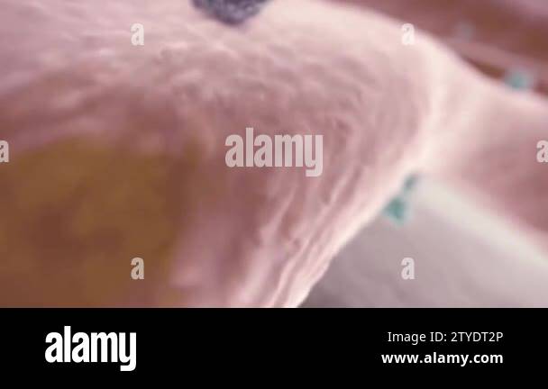 Ribosomes Stock Videos & Footage - HD and 4K Video Clips - Alamy