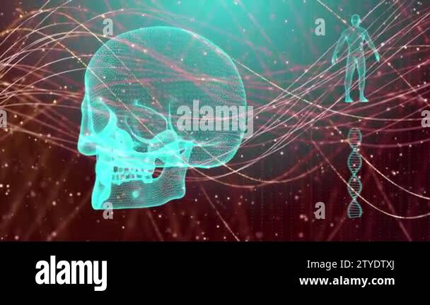 Medical background with DNA strand skull and human body Stock Video ...