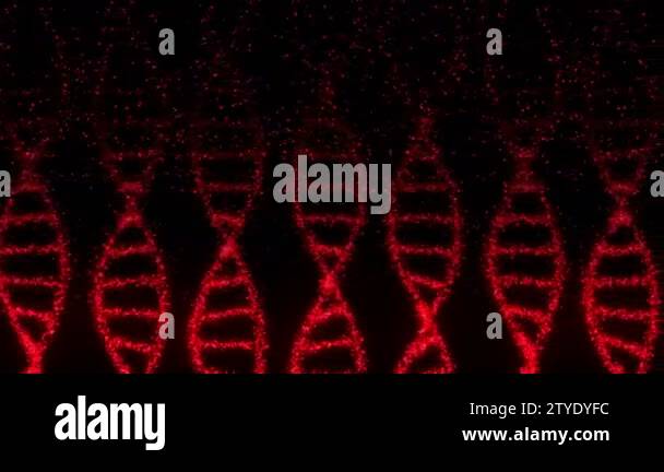 Molecule of DNA system with red blood. Blood floating through. Loop ...