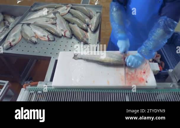 Chopped off head Stock Videos & Footage - HD and 4K Video Clips - Alamy