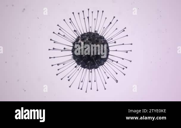 Animation of bacteria virus under microscope with depth, Animation of ...