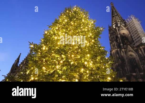 Cologne christmas market tree Stock Videos & Footage - HD and 4K Video ...