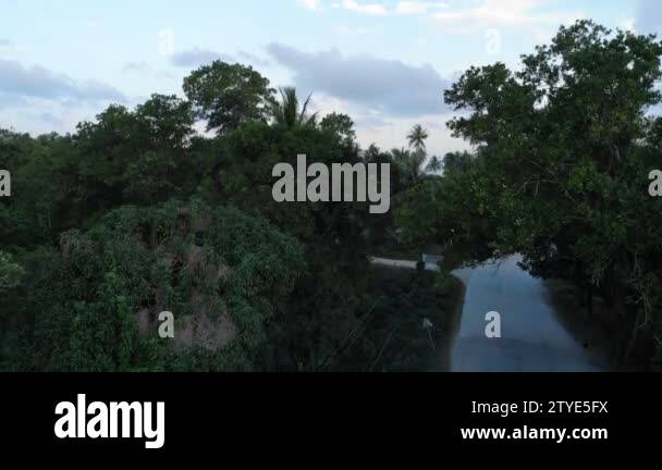 Overview of sea, river and rice fields from above, Philippines Stock ...