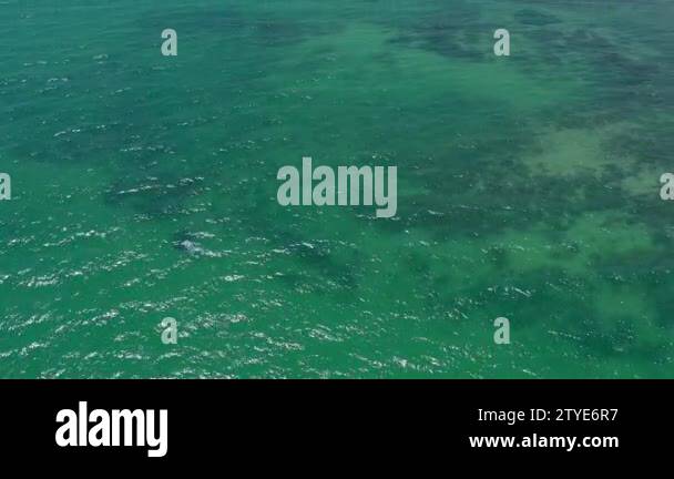 Dendy beach boxes Stock Videos & Footage - HD and 4K Video Clips - Alamy