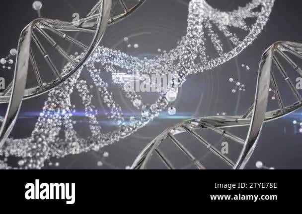 Double helix model of dna Stock Videos & Footage - HD and 4K Video ...