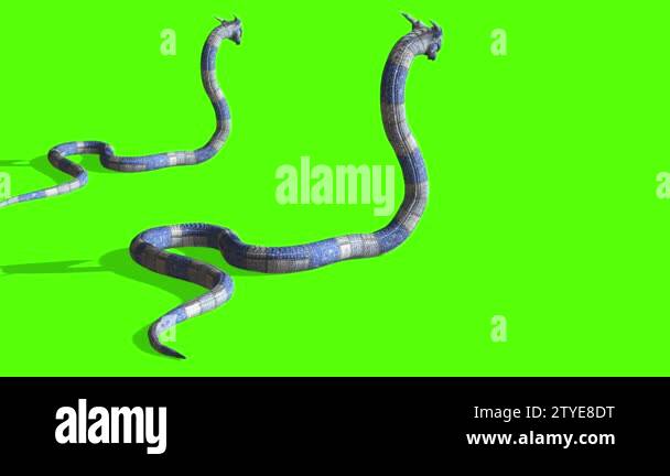 animation of Snake attack - Python Green Screen Stock Video Footage - Alamy