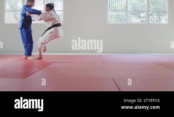 Side view of two teenage Caucasian and mixed race female judokas ...