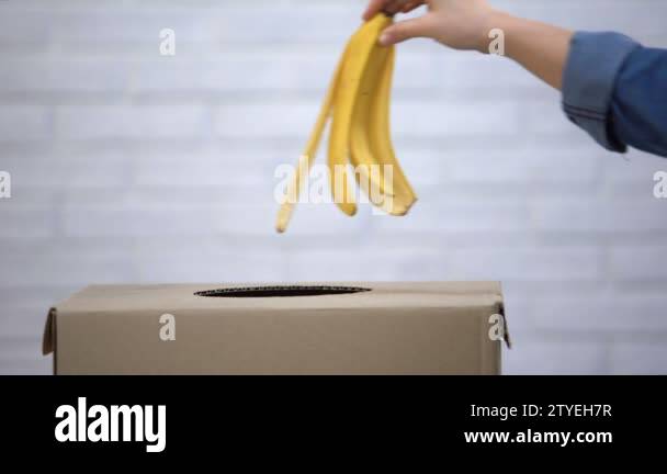 Hand throwing banana peel into trash bin, recycling waste sorting ...