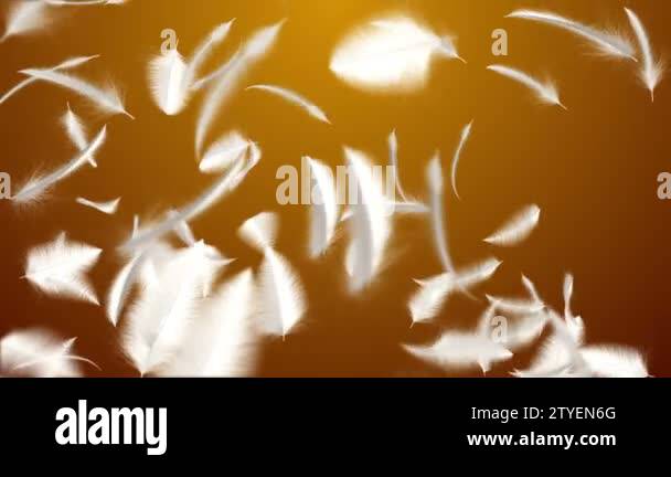 3d animation footage of falling feather. Animation of seamless loop ...