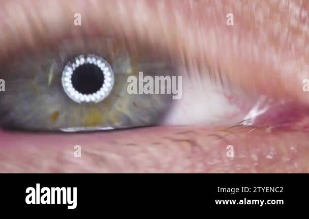 Macro View of Fast Blinking Human Eye. The reflection in the eye of the ...