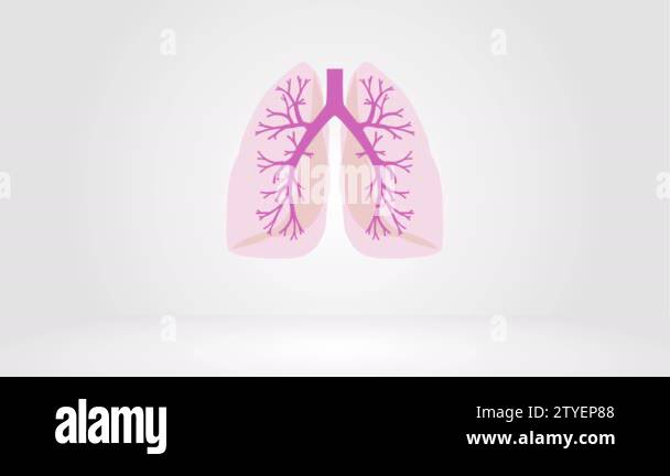 Destruction process of the lungs. Autopsy medical concept. Tuberculosis ...