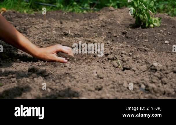 Rural testing Stock Videos & Footage - HD and 4K Video Clips - Alamy